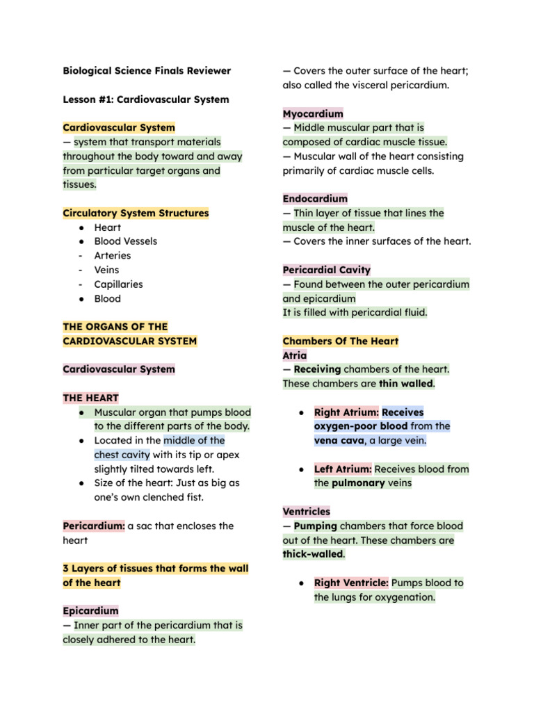 Cardiovascular and Respiratory Systems Review | PDF | Heart Valve | Heart