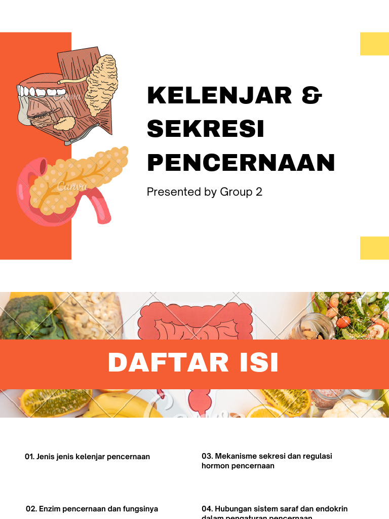 Kelenjar Pencernaan dan Enzimnya | PDF