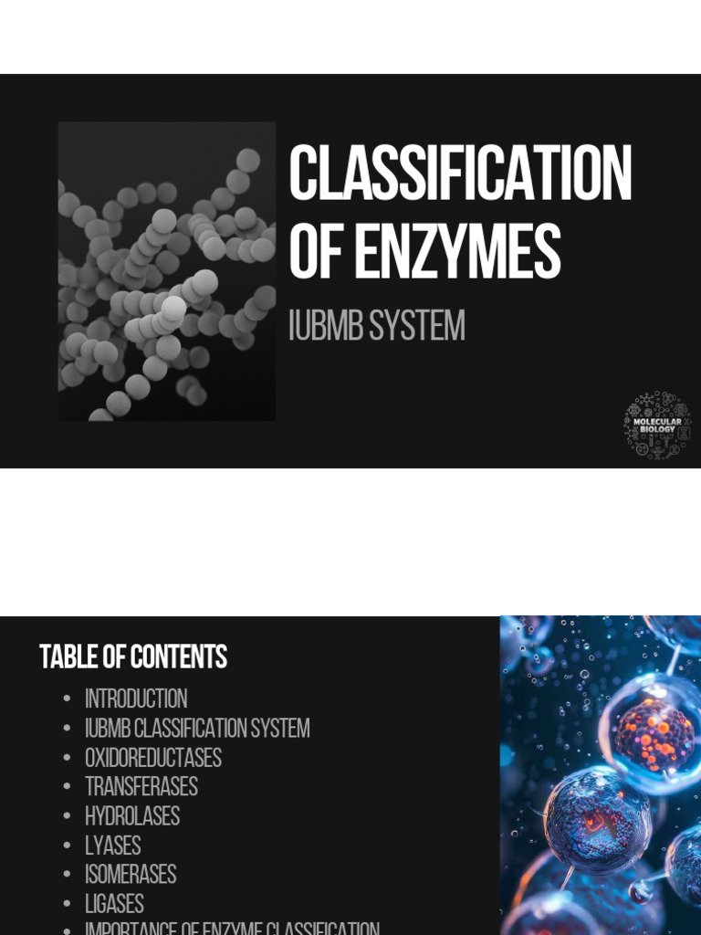 Enzyme Classification | PDF | Enzyme | Glycolysis