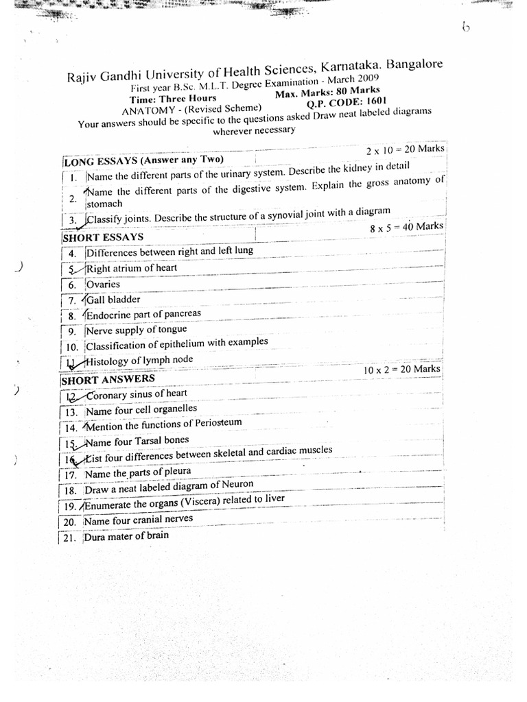 Anatomy Question Papers | PDF