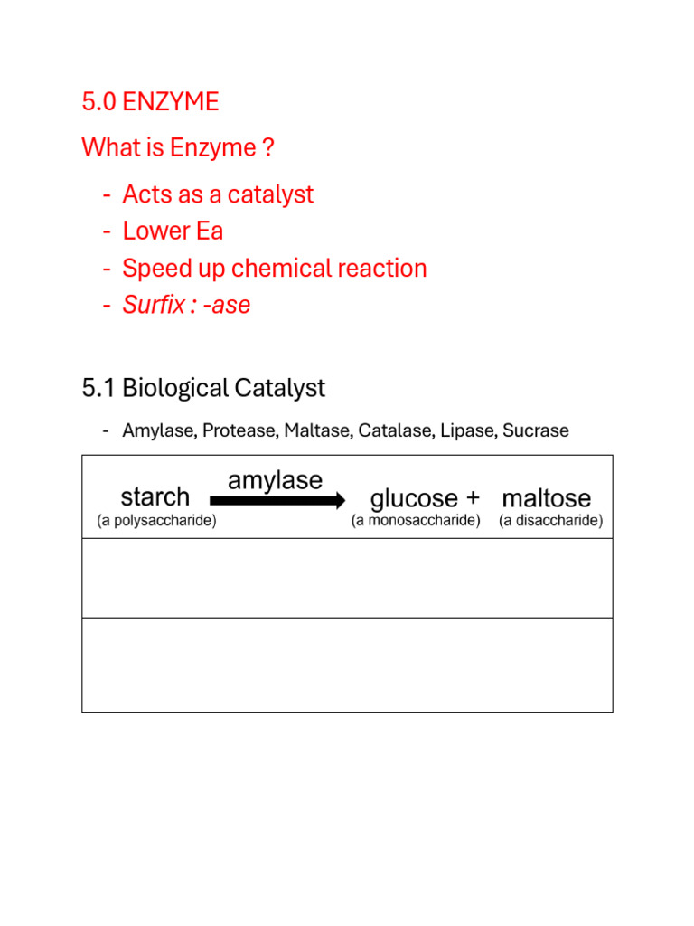 5.0 Enzyme What Is Enzyme ? - Acts As A Catalyst - Lower Ea - Speed Up ...