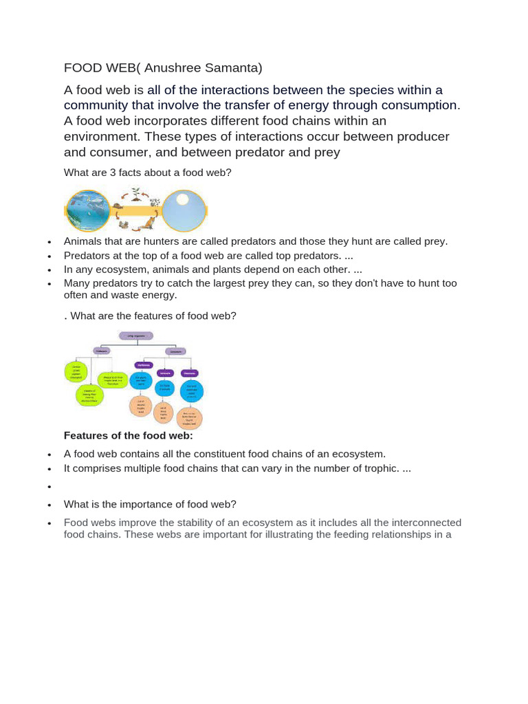 Understanding Food Webs and Ecosystems | PDF