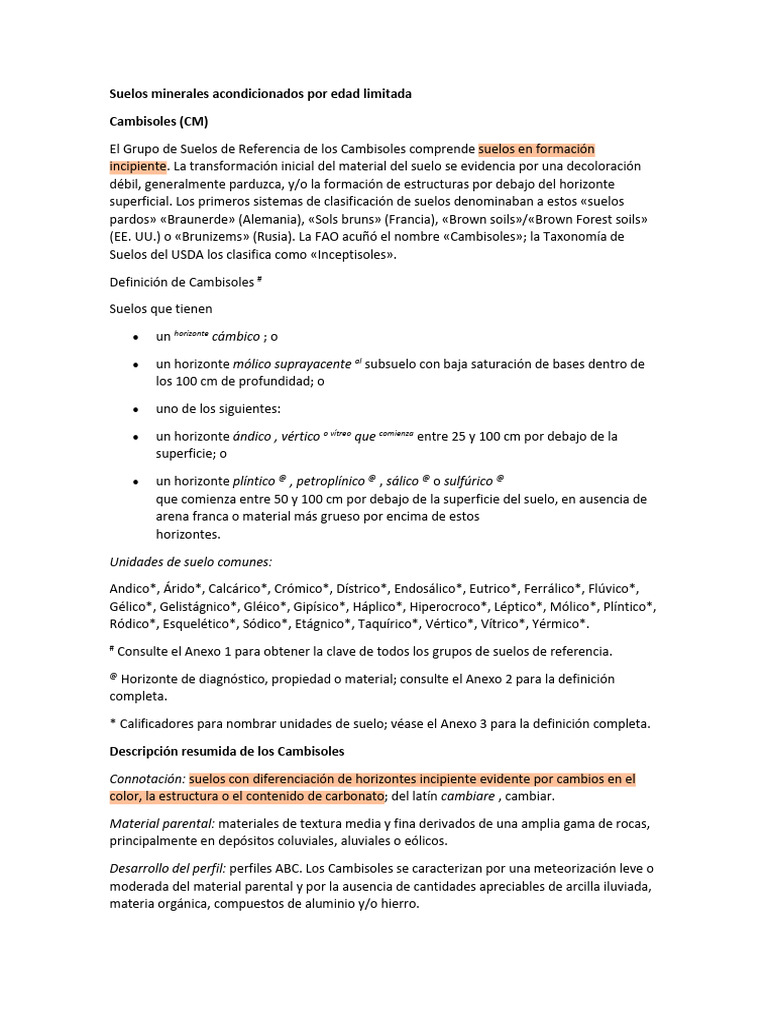 CAMBISOLES 4 | PDF | Suelo | Meteorización