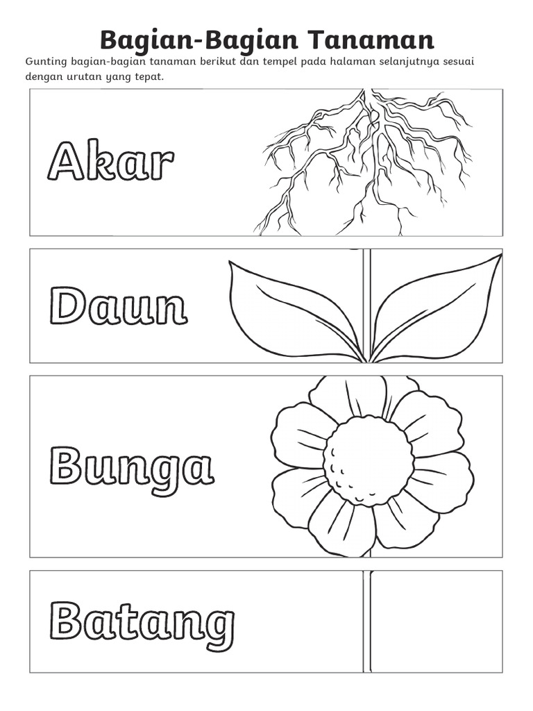 Bagian-Bagian Tanaman yang Penting | PDF