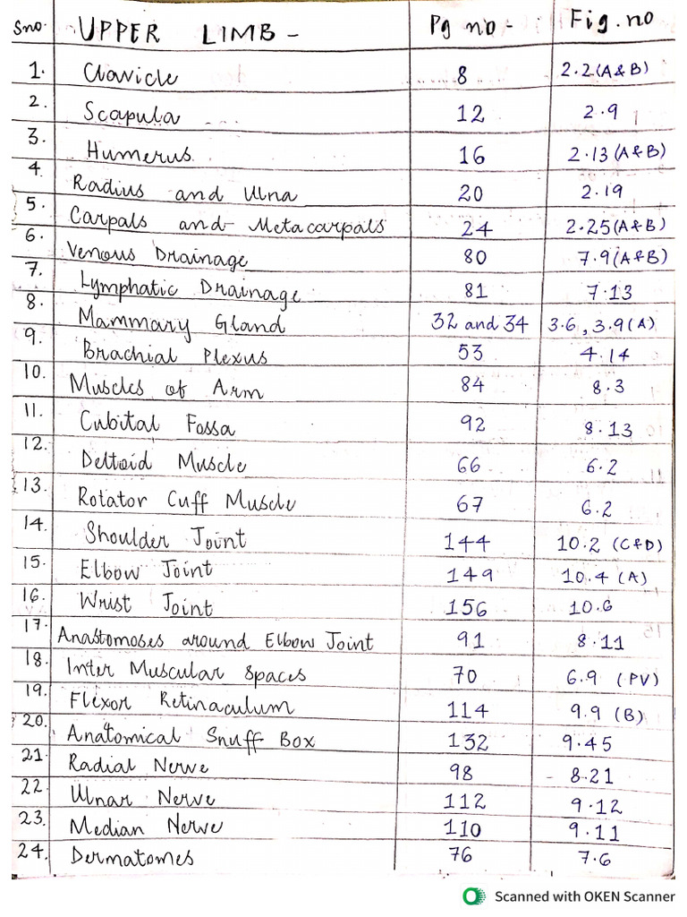 Anatomy Record Reference | PDF