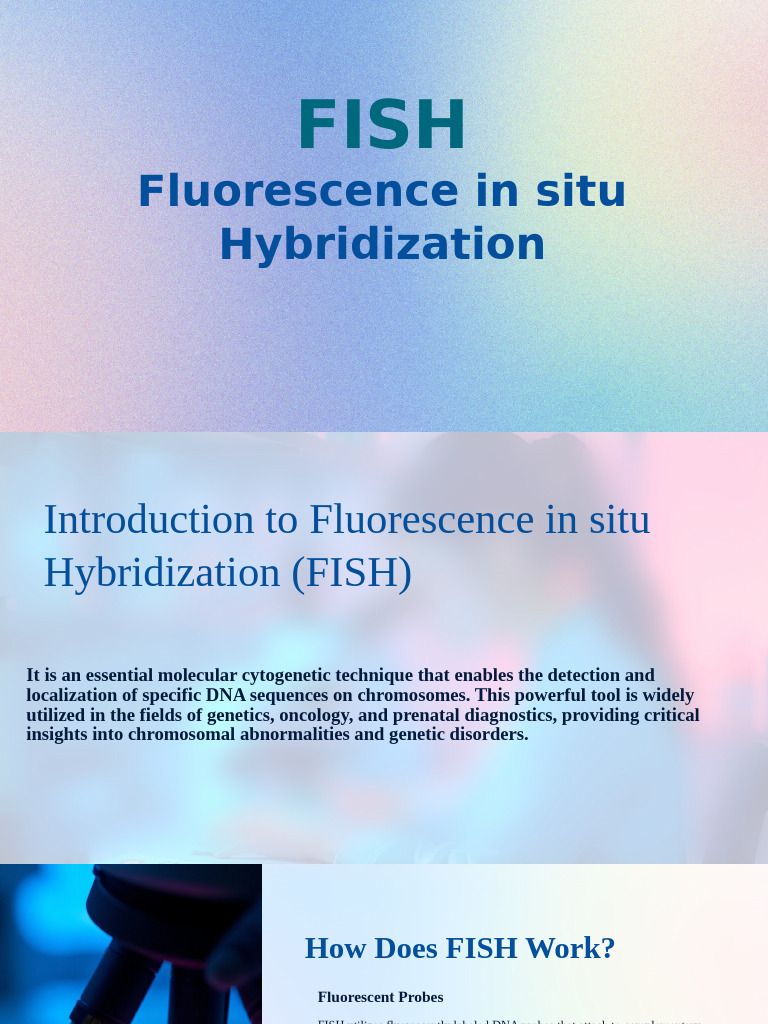 FISH: DNA Detection & Genetic Analysis | PDF | Fluorescence In Situ ...