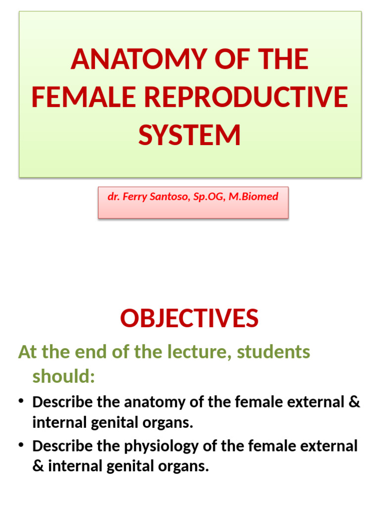 Anatomy and Physiology Female Reproductive System FK UNNES | PDF ...