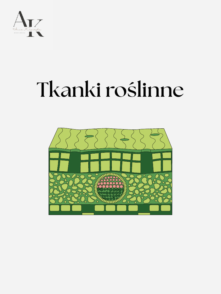 Tkanki Roslinne Notatka 5 | PDF