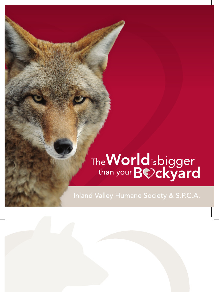 1358 Ivhs Wildlife Brochure - Final | PDF | Cougar | Coyote