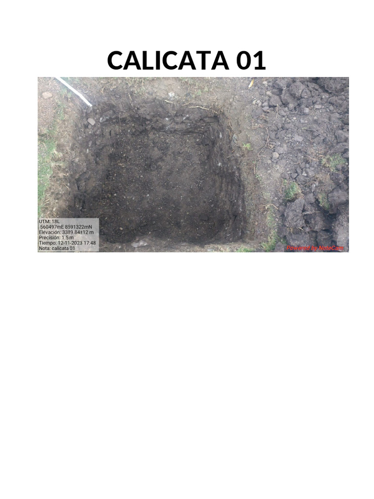 Calicata 01 | PDF