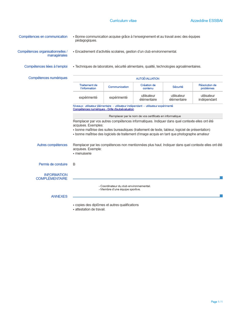 CV Azzeddine Essbai - Compétences clés | PDF | Informatique