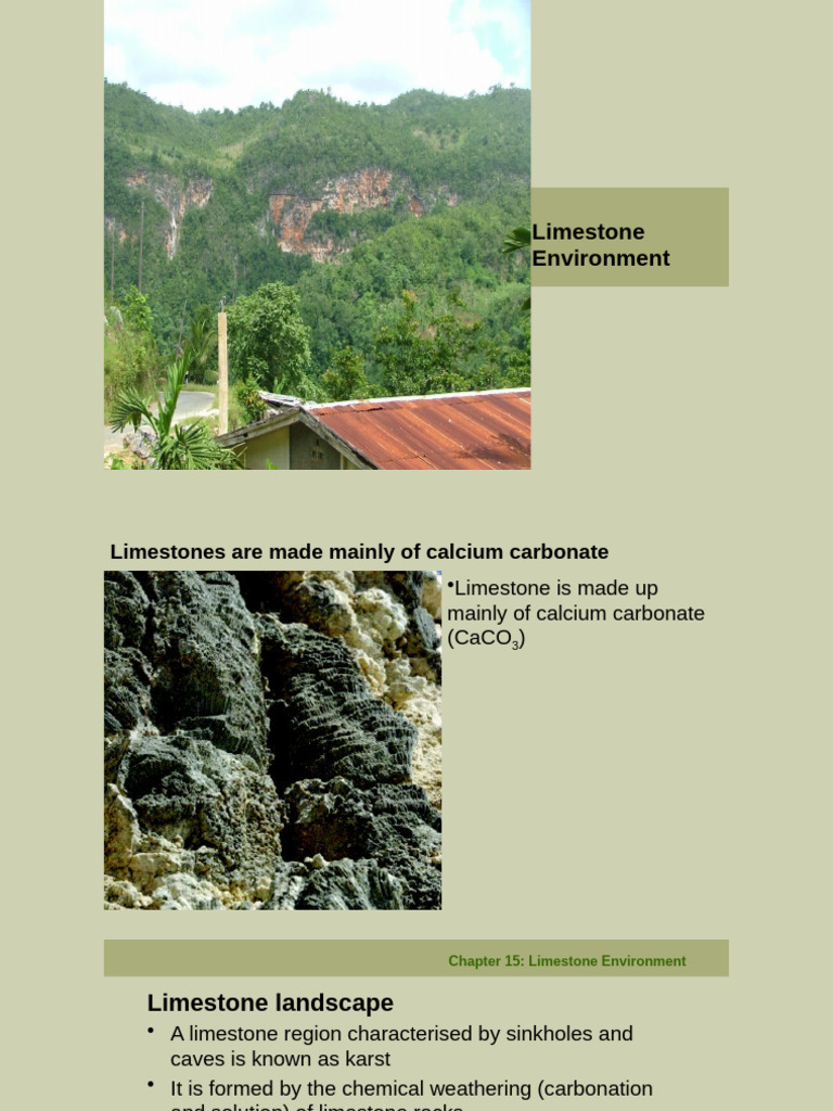Understanding Limestone Environments | PDF | Sinkhole | Cave