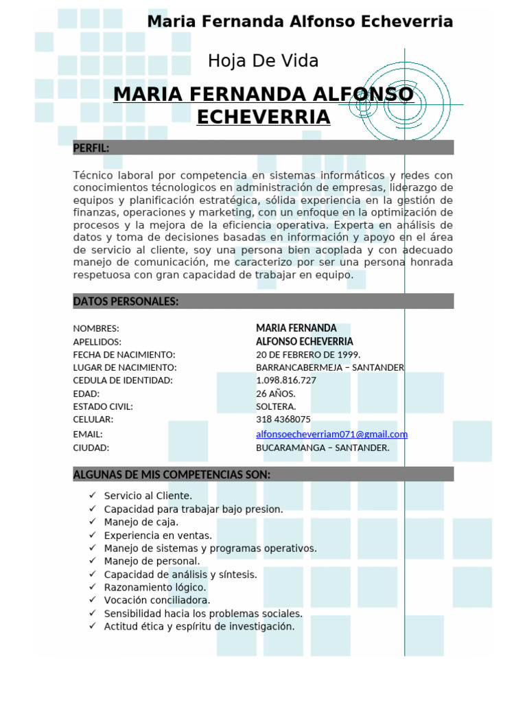 Hoja de Vida de Maria Fernanda Alfonso | PDF | Soporte técnico ...