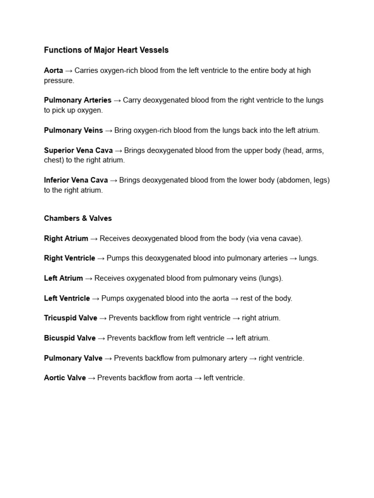 Heart Project Bio | PDF