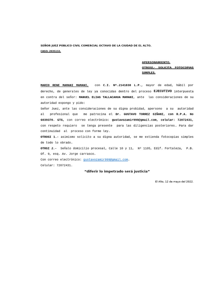 Apersonamiento de Mario Rene Mamani Mamani | PDF