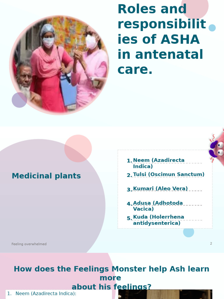 ASHA Roles in Antenatal Care & Remedies | PDF | Turmeric