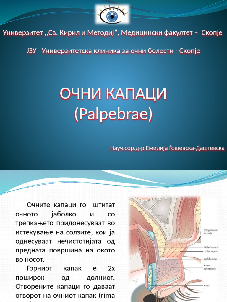 2. Очни капаци (Palpebrae) | PDF