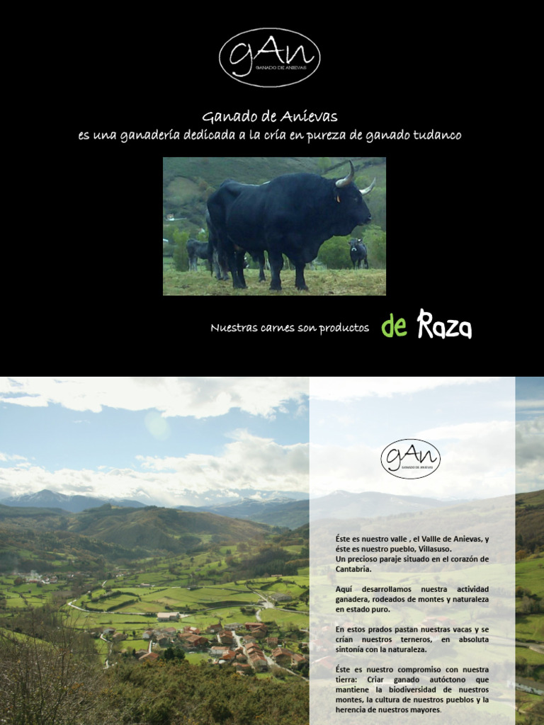 Catálogo Comercial Ganado de Anievas S.L | PDF | filete | Carne