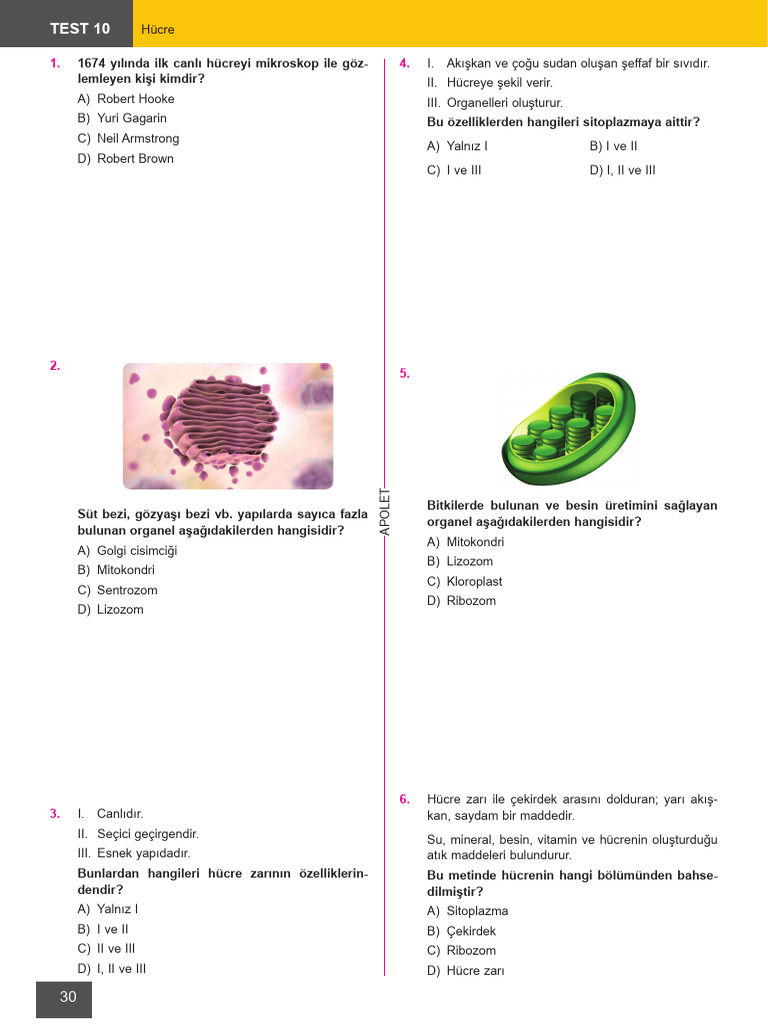 Apolet 7.sinif Fenbi̇li̇mleri̇ Test 10-11 | PDF