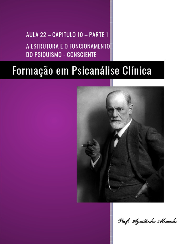 Apostila Aula 22 - A Estrutura e o Funcionamento Do Psiquismo ...