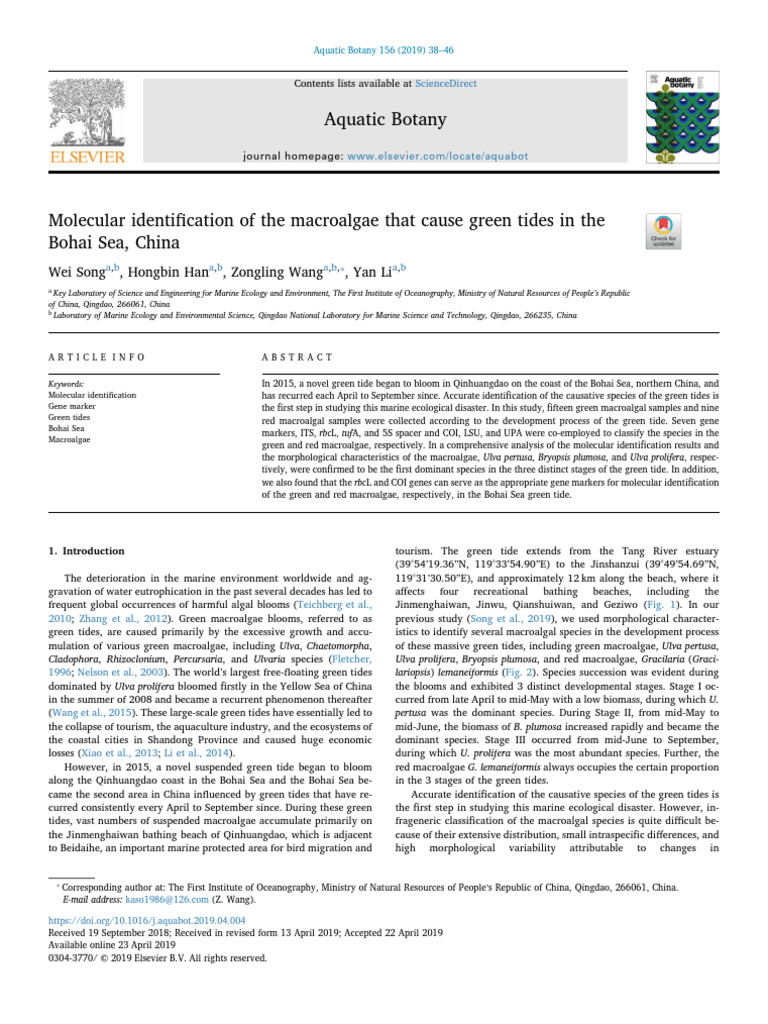 Molecular Identification of The Macroalgae | PDF | Phylogenetics | Polymerase Chain Reaction