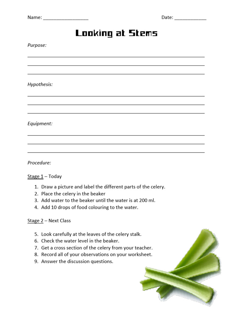Grade 3 - Science - Plants - Worksheet 3 | PDF