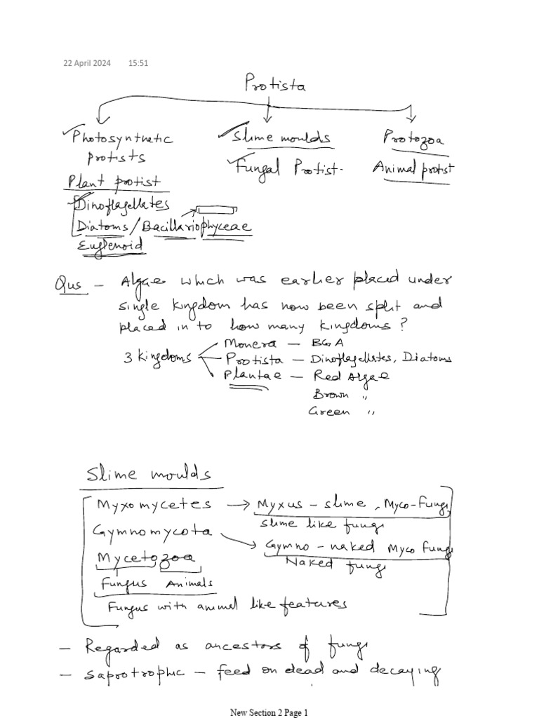 Botany Class Notes 25.5.24 | PDF