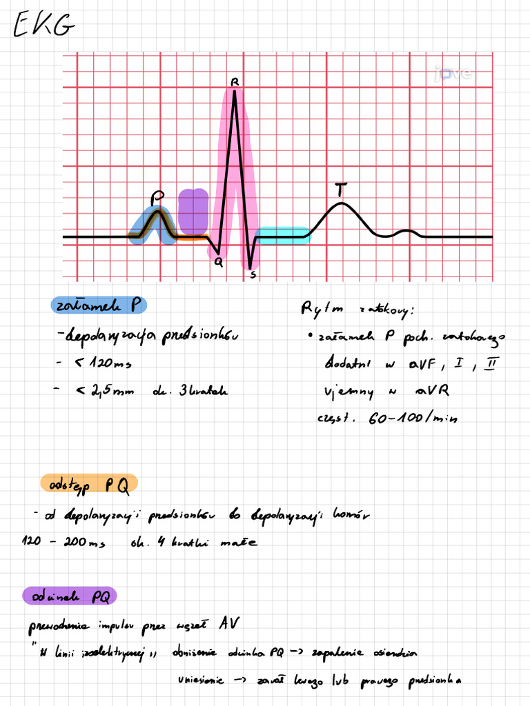 Ekg | PDF