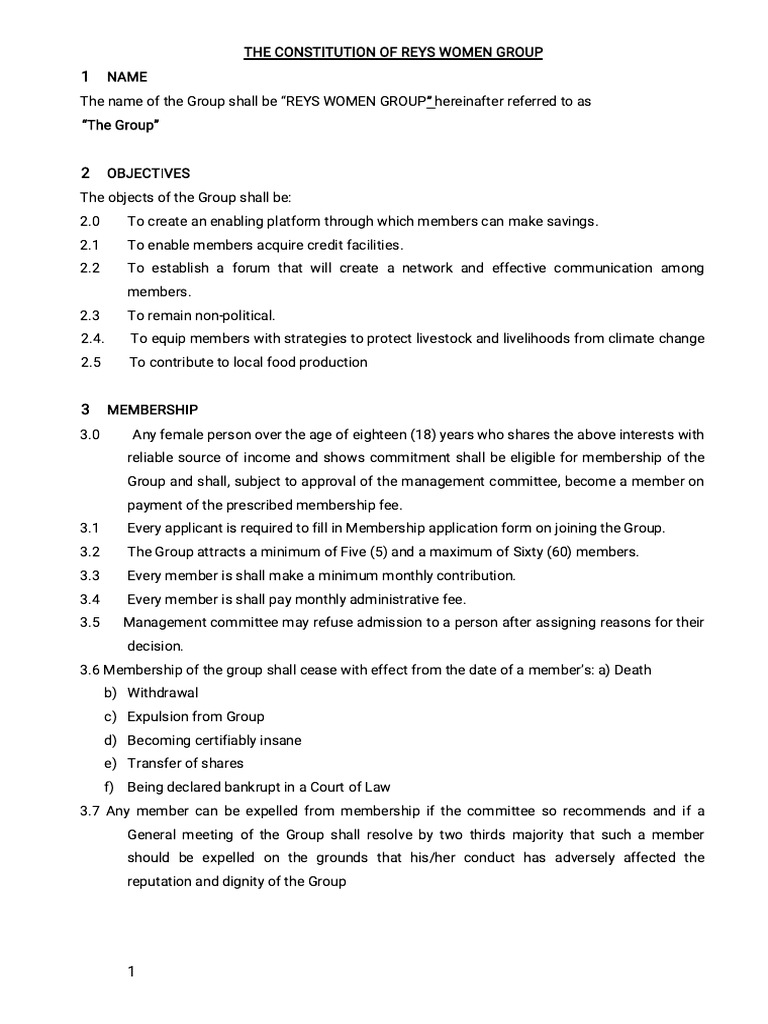 Constitution of REYS Women Group | PDF | Committee | Liquidation