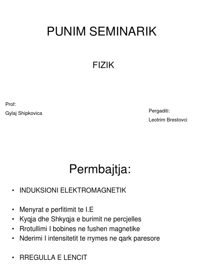 Punim Seminarik | PDF