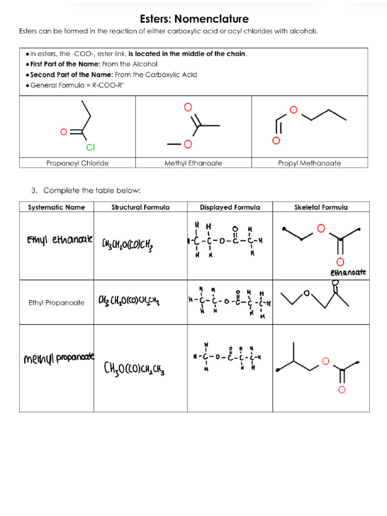 Esters Worksheet | PDF