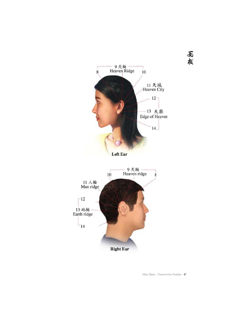 Joey Yap Mian Xiang Discover Face Reading PDF-54-63 | PDF