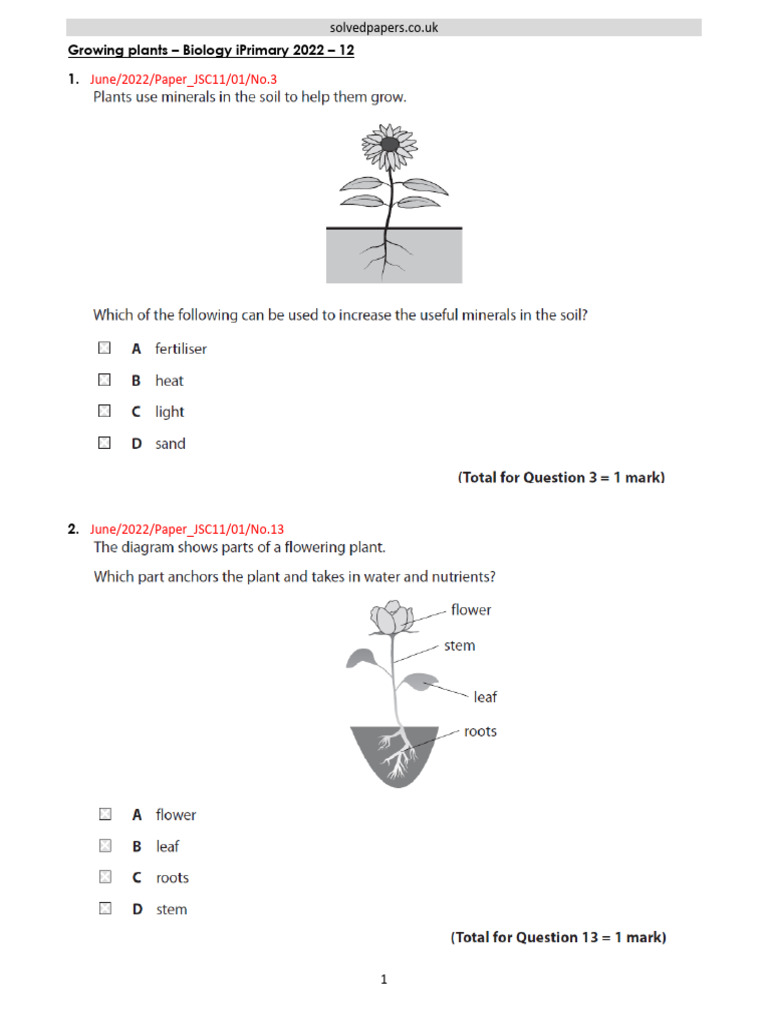 2022 12 Growing Plants Edexcel Biology IPrimary | PDF | Chess Theory ...