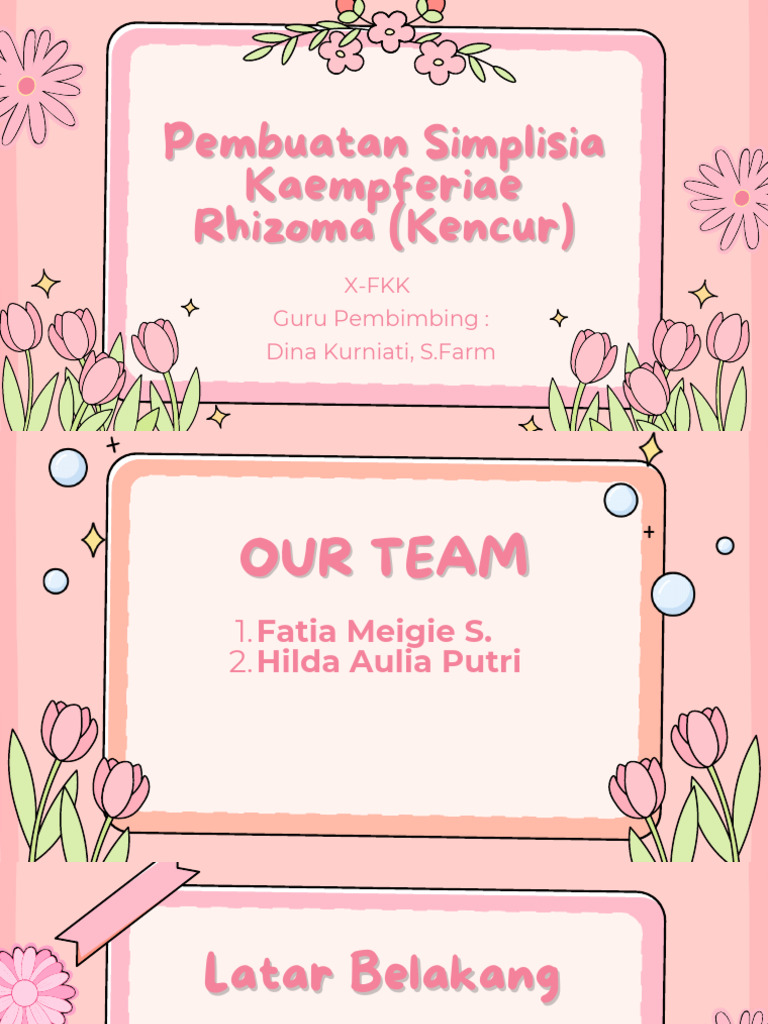 Pembuatan Simplisia Kencur Berkualitas | PDF