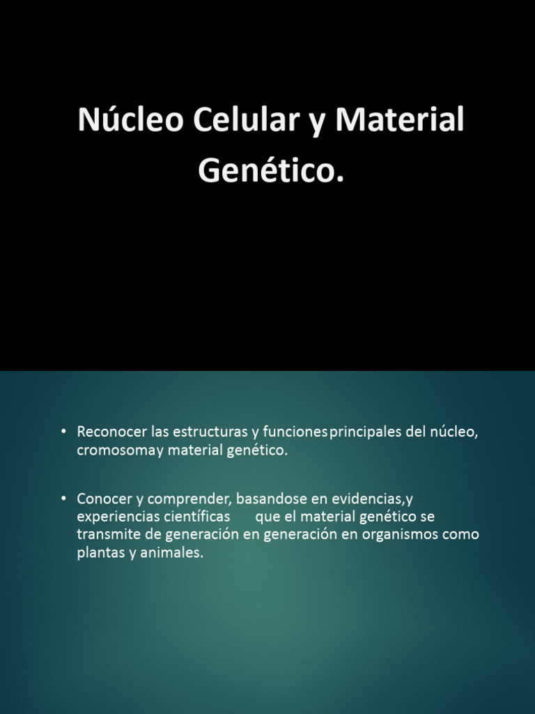 Material Gen-Tico | PDF | Nucleo celular | Cromatina