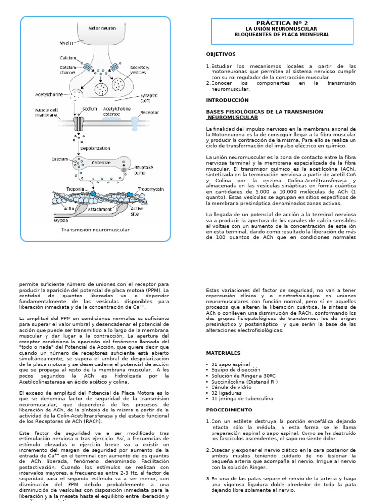 Práctica #2 de Laboratorio Fisiología La Unión Neuromuscular. BPNM ...