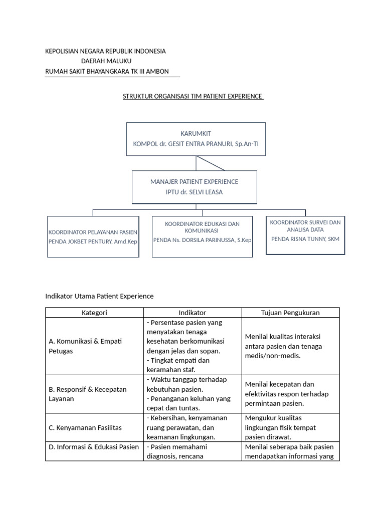 Tim Patient Experience | PDF