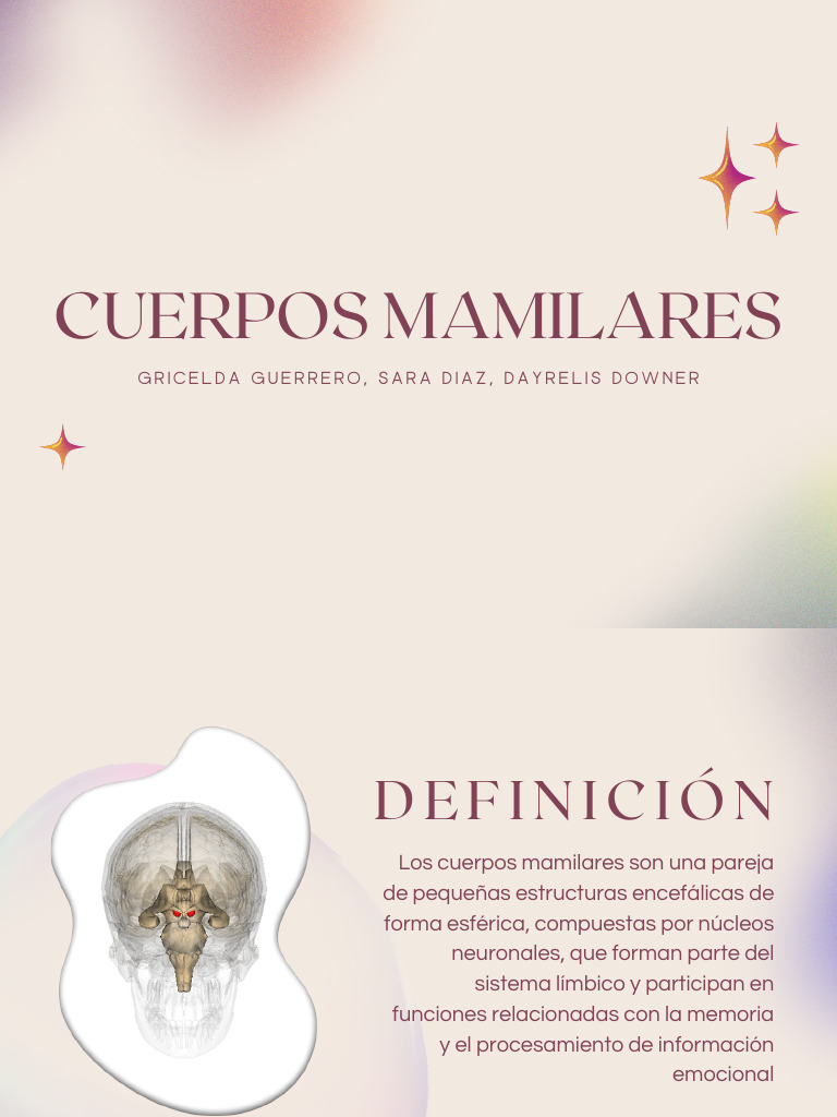 Función y Estructura de los Cuerpos Mamilares | PDF | Las emociones ...