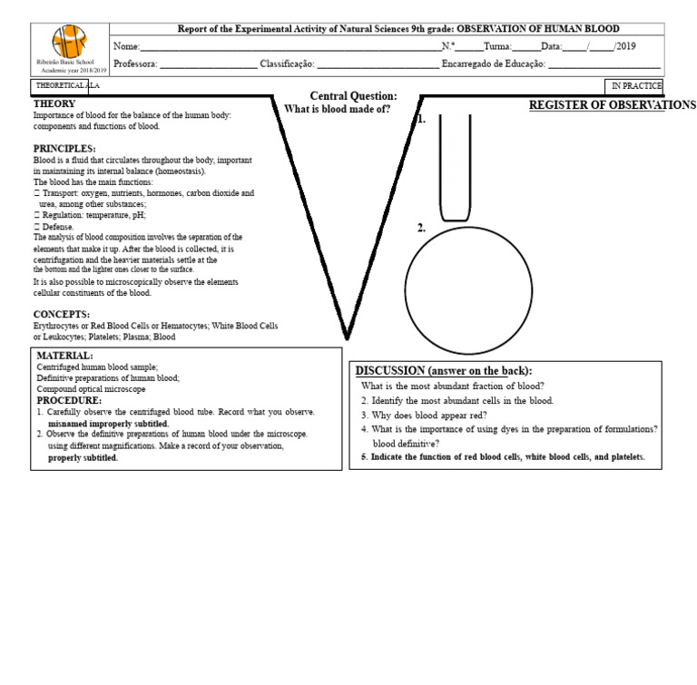 AP2 Blood Observation Report VGowin | PDF | Blood | Blood Cell
