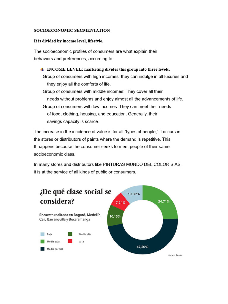 Socioeconomic Segmentation | PDF | Consumer Behaviour | Behavior