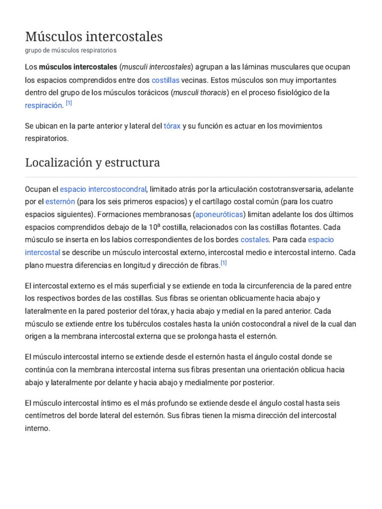 Músculos Intercostales - Wikipedia, La Enciclopedia Libre | PDF | Tórax ...