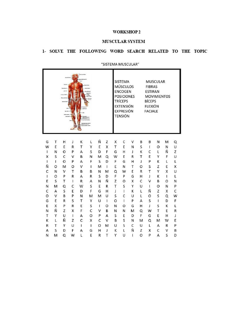 Word Search Muscles | PDF