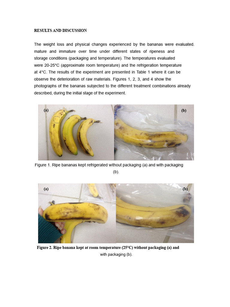 Report of Refrigerator Damage Due To Cold | PDF | Banana