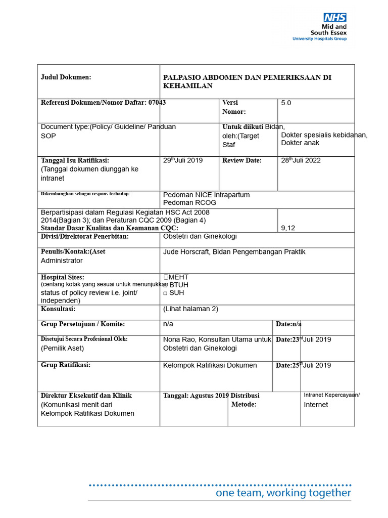 Palpasi Abdomen dalam Kehamilan | PDF
