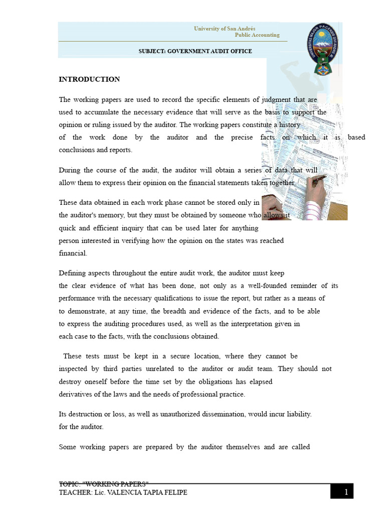 Governmental Work Papers | PDF | Audit | Internal Control