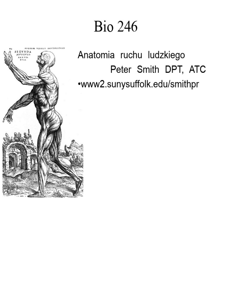 Fasciae.ppt | PDF