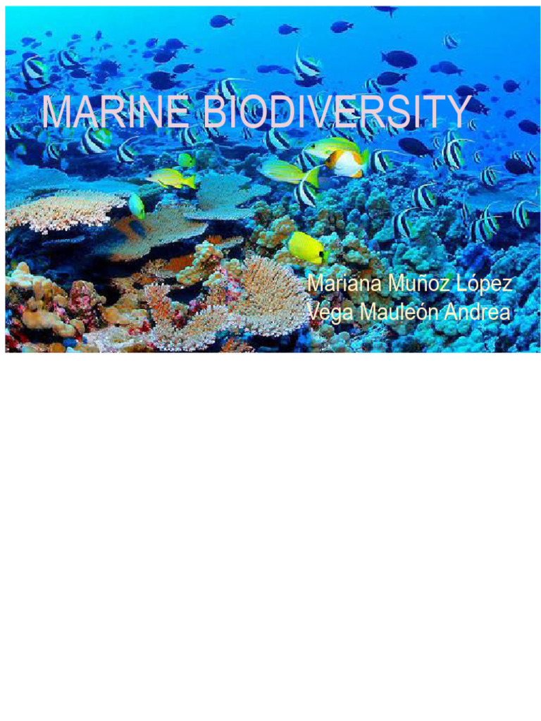 Marine Biodiversity | PDF | Oceans | Biodiversity
