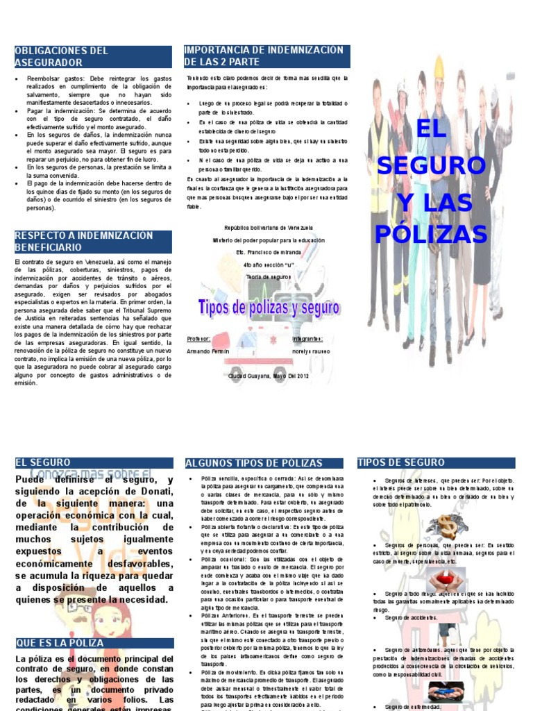 Triptico Los Seguros | PDF | Póliza de seguros | Seguro