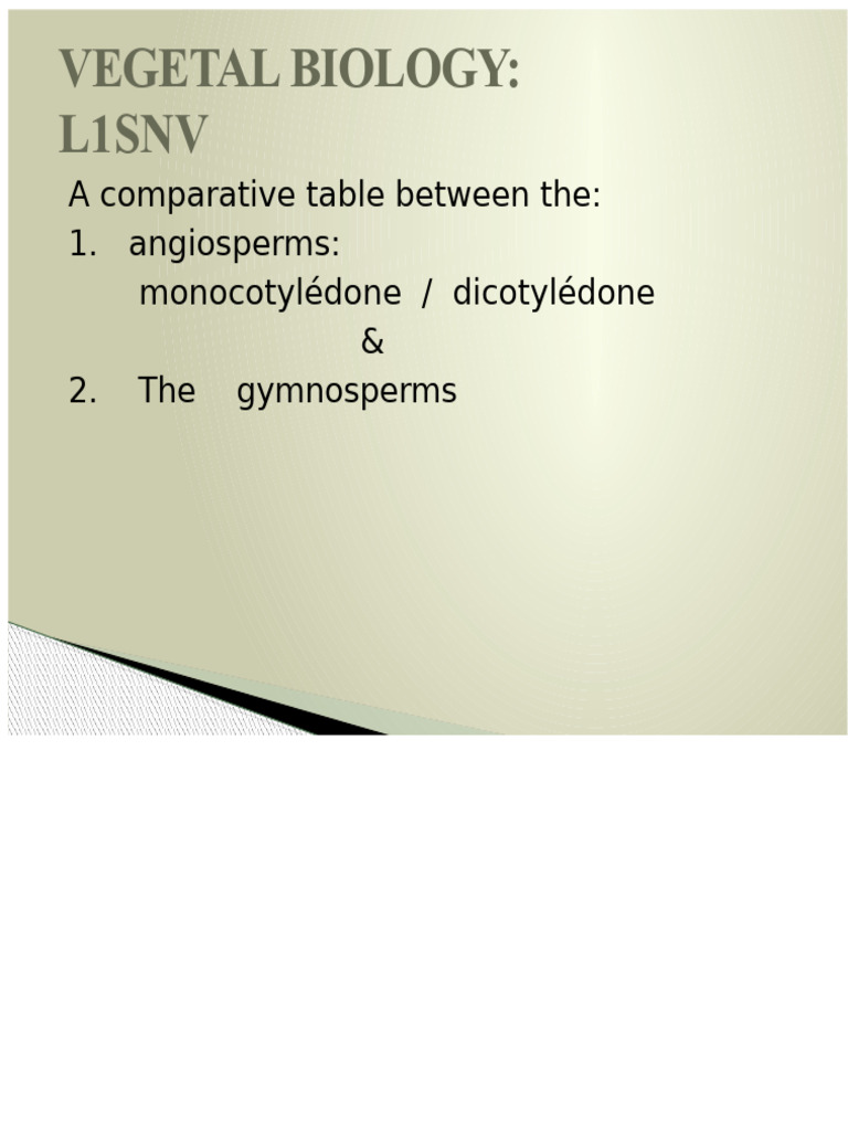 Comparison Between Angiosperms and Gymnosperms | PDF | Leaf | Organisms