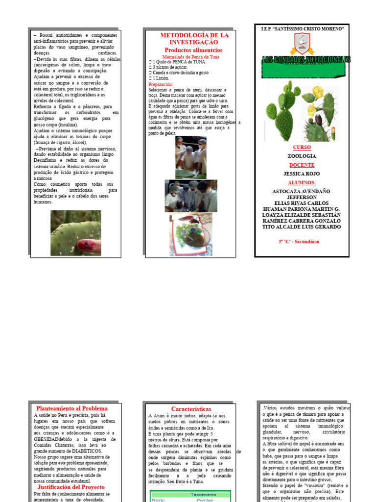 Benefícios da Penca de Tuna para Saúde | PDF | Fibra alimentar | Dieta ...